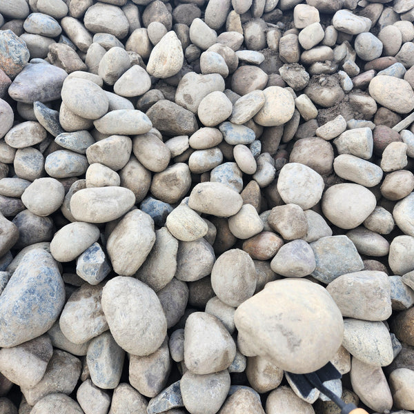 Bulk 5"-8" Brookstone – The Gardens Nursery