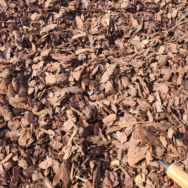 Bulk Mini Pine Bark – The Gardens Nursery