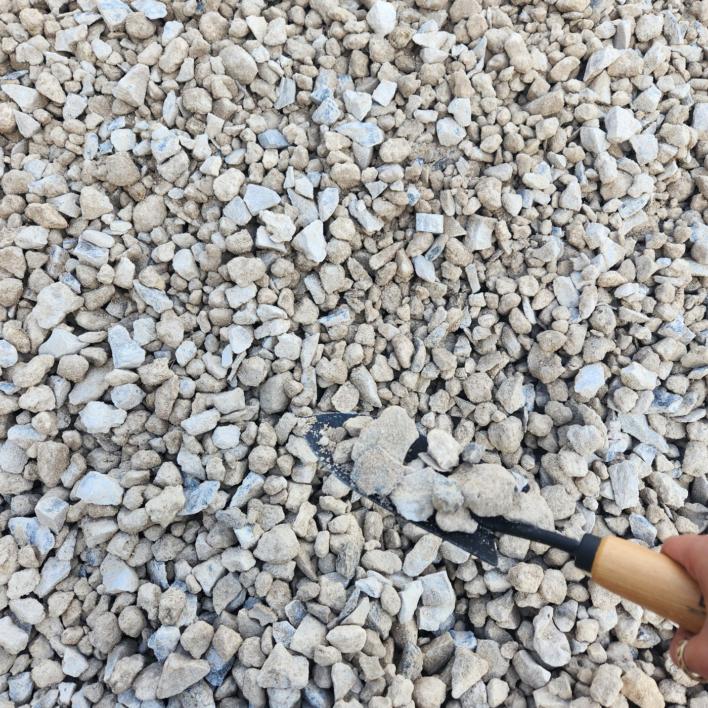 The Gardens Nursery | The Gardens Nursery