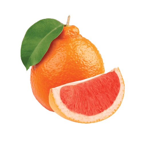 Citrus Tangelo – The Gardens Nursery